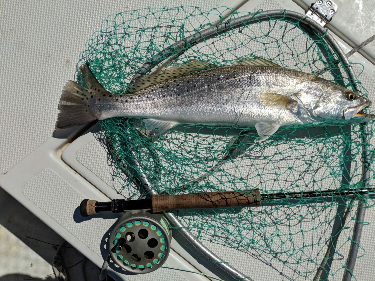 Tarpon Fishing Capt Jeff Ruppart